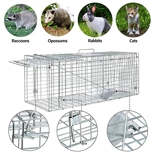 Live Animal Trap Cage Humane Cat Trap Rabbit Trap Humane Mouse Trap Live Traps for Raccoons Small Animal Trap Squirrel Traps Outdoor Groundhog Trap, 24'' Steel Humane Release Rodent Cage