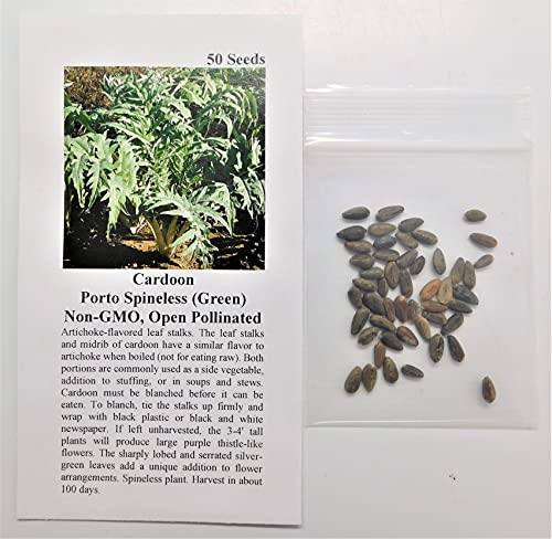 David's Garden Seeds Cardoon Porto Spineless 8374 (Green) 50 Non-GMO, Heirloom Seeds
