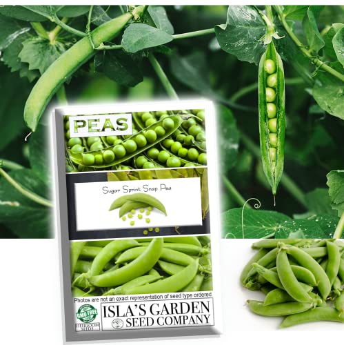Sugar Sprint Snap Pea Seeds for Planting, 25+ Heirloom Seeds Per Packet, (Isla's Garden Seeds), Non GMO Seeds, Botanical Name: Pisum sativum, Great Home Garden Gift