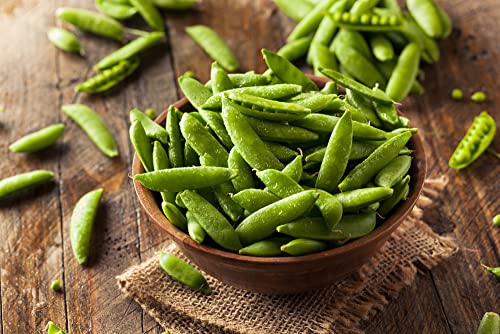 Sugar Sprint Snap Pea Seeds for Planting, 25+ Heirloom Seeds Per Packet, (Isla's Garden Seeds), Non GMO Seeds, Botanical Name: Pisum sativum, Great Home Garden Gift