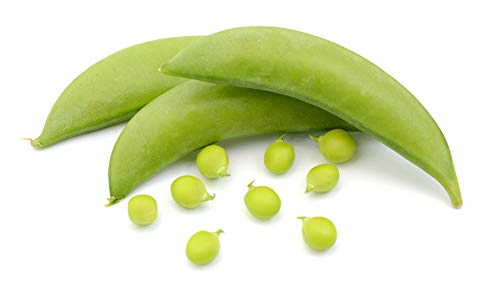 Sugar Sprint Snap Pea Seeds for Planting, 25+ Heirloom Seeds Per Packet, (Isla's Garden Seeds), Non GMO Seeds, Botanical Name: Pisum sativum, Great Home Garden Gift