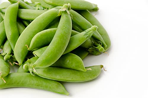 Sugar Sprint Snap Pea Seeds for Planting, 25+ Heirloom Seeds Per Packet, (Isla's Garden Seeds), Non GMO Seeds, Botanical Name: Pisum sativum, Great Home Garden Gift