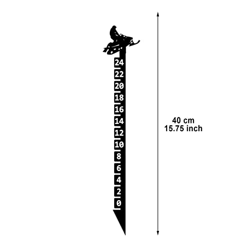 Gift 24cm Snowflake Snow Measuring Instrument Snowmobile Snow Measuring Instrument Metal Snow Measuring Ruler Outdoor Garden Ornament Zip Level Pro2000 (Black, One Size)