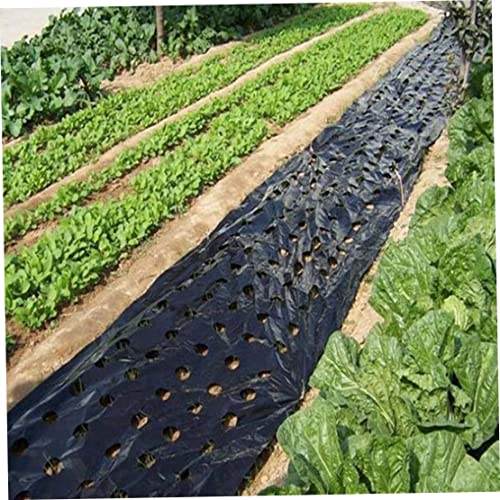 KUYYFDS- 5 Holes Black Plastic Mulch Film for Agricultural Vegetable Film Plant Plastic Film Perforated PE Film for Garden Plant Mulch Membrane Intens Ely 3X33 Ft