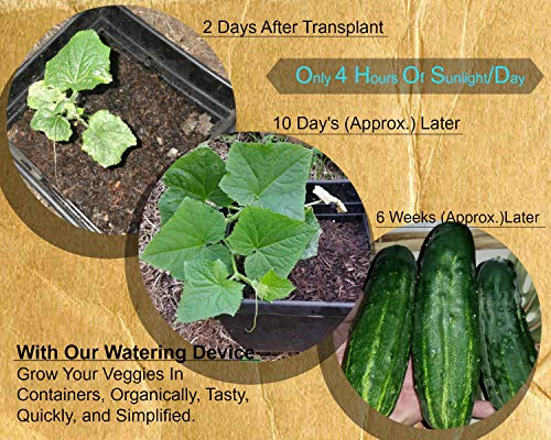 Plant Hydrator [All New Automatic Daily Drip Waterer to Beat This Summer's Heat Container Garden Organic Vegetables Confidently [Fits Grow Bags Self Watering Planters]