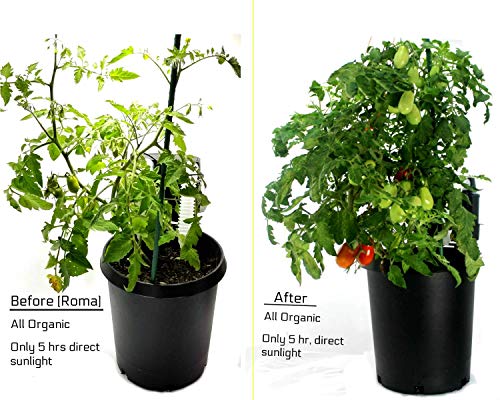 Plant Hydrator [All New Automatic Daily Drip Waterer to Beat This Summer's Heat Container Garden Organic Vegetables Confidently [Fits Grow Bags Self Watering Planters]
