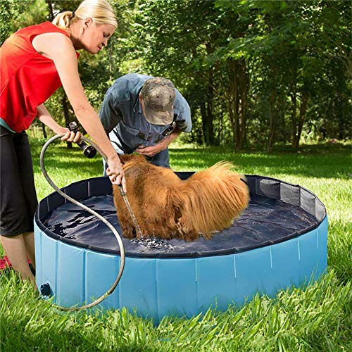 Foldable Dog Pool for Large Dogs - KizmetKare Portable Kiddie Pool Plastic Pet Bath Tub, Outdoor Dog Swimming Pool (XL - 63" X12")