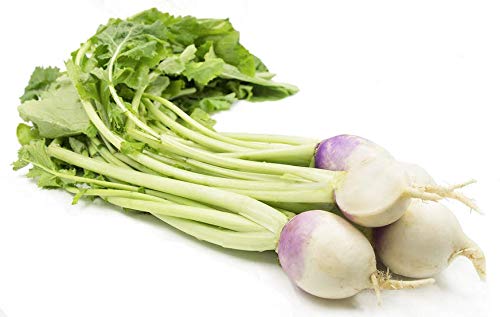 Purple Top Turnip Seeds for Planting, 1000+ Heirloom Seeds Per Packet, (Isla's Garden Seeds), Non GMO Seeds, Botanical Name: Brassica rapa subsp. rapa, Great Home Garden Gift
