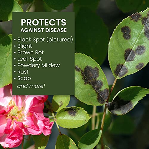 NATRIA Insect, Disease and Mite Control, Ready-to-Use, 24 oz