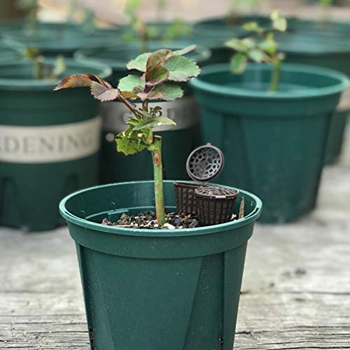 Happyyami 100Pcs Fertilizer Baskets Plastic Portable- Fertilizer Orchid Basket Fertilizer Mesh Basket with Lid Bonsai Fertilizer Box