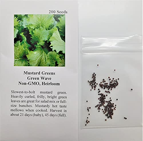 David's Garden Seeds Mustard Greens Green Wave 3498 (Green) 200 Non-GMO, Heirloom Seeds