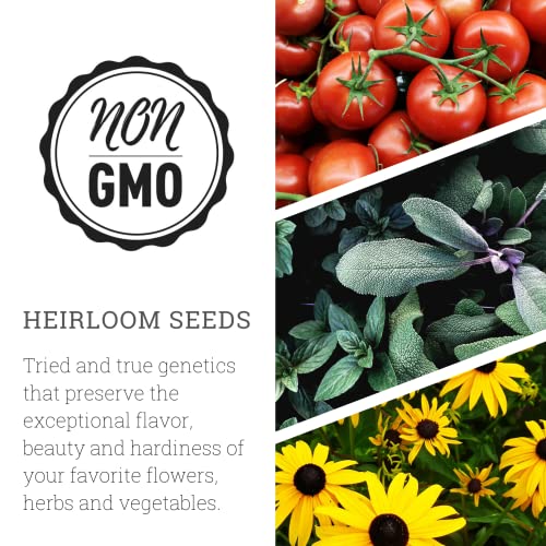 Sow Right Seeds - Fordhook Swiss Chard Seed for Planting - Non-GMO Heirloom Packet with Instructions to Plant and Grow an Outdoor Home Vegetable Garden - Nutritious, Flavorful - Great Gift (2)
