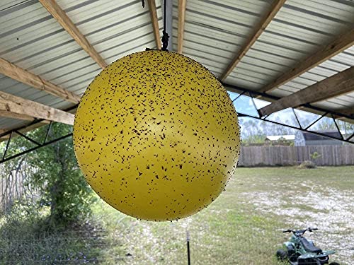 Gnat Ball Starter kit - Gnats, House Fly, No-See-Um, Aphids whiteflies,and Love Bug Trap