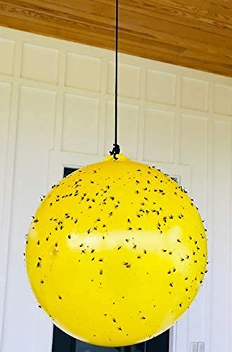 Gnat Ball Starter kit - Gnats, House Fly, No-See-Um, Aphids whiteflies,and Love Bug Trap