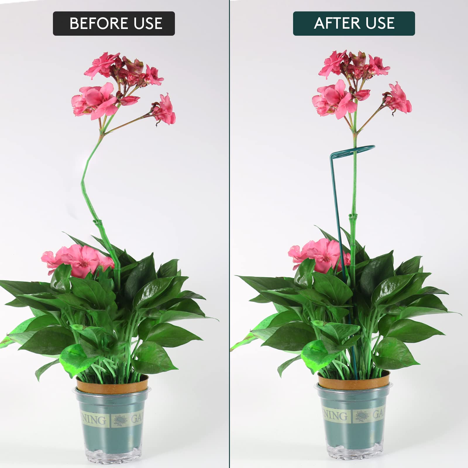 Plant Stake Support 14 Packs 16 Inches,Single Stem Stake Plant Cage Support Ring,Garden Single Stem Plant Stakes for Flowers Amaryllis Orchid Lily Rose Tomatoes…