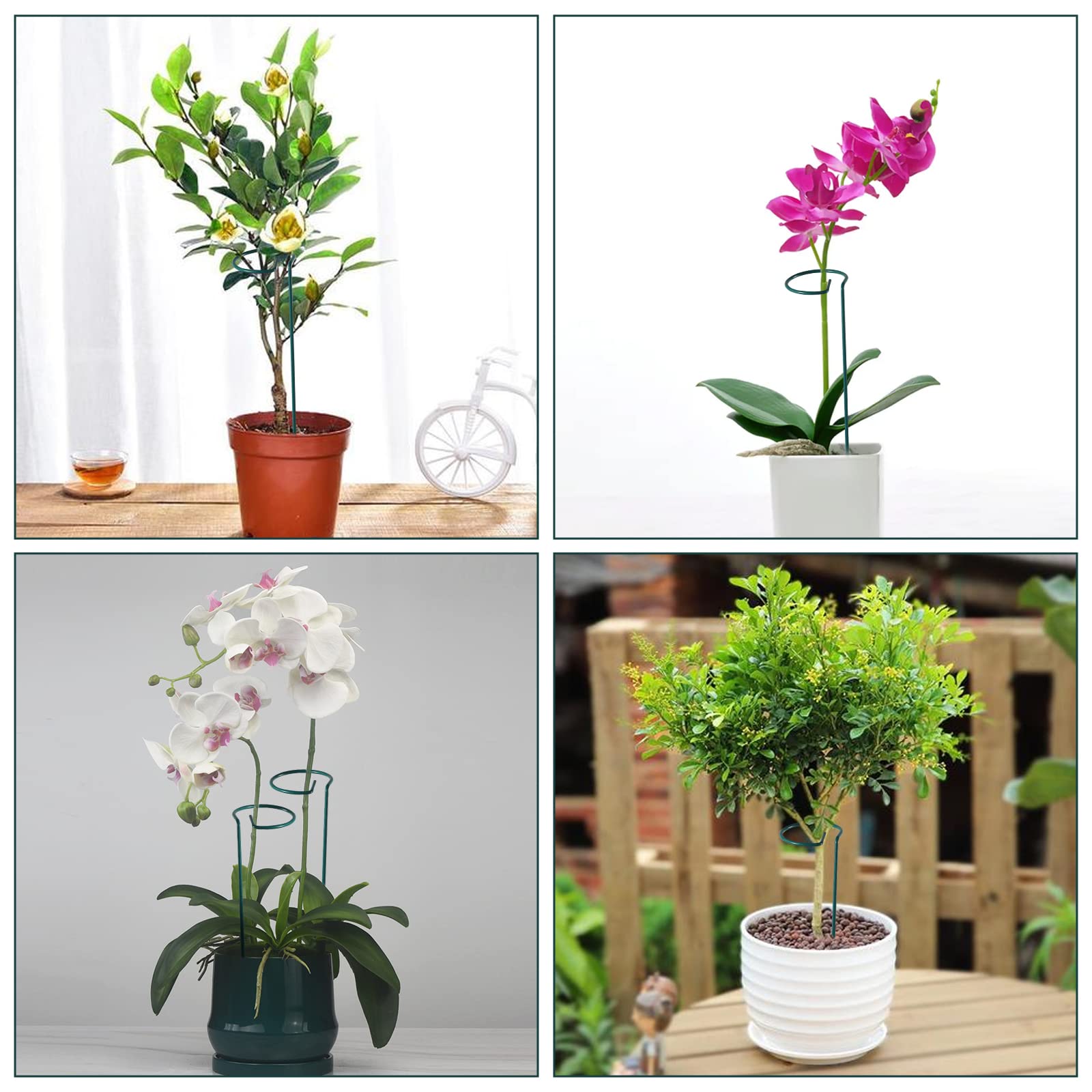 Plant Stake Support 14 Packs 16 Inches,Single Stem Stake Plant Cage Support Ring,Garden Single Stem Plant Stakes for Flowers Amaryllis Orchid Lily Rose Tomatoes…