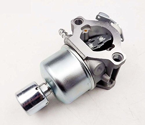 Goodfind68 New Carburetor compatible with Briggs & Stratton 791889 Replaces # 698782, 693194, 499151