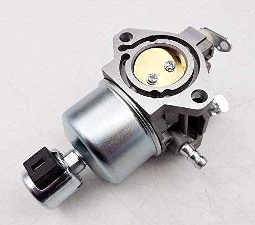 Goodfind68 New Carburetor compatible with Briggs & Stratton 791889 Replaces # 698782, 693194, 499151