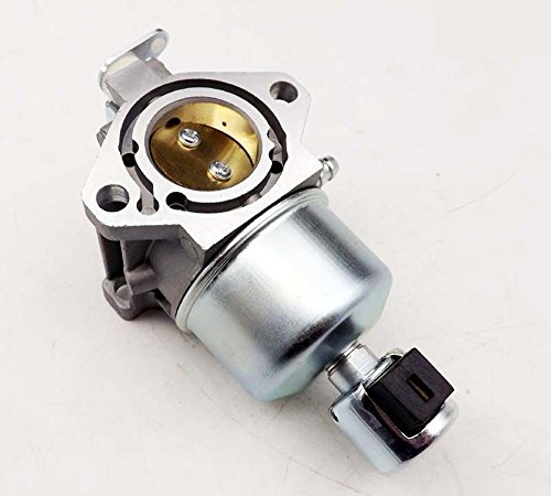 Goodfind68 New Carburetor compatible with Briggs & Stratton 791889 Replaces # 698782, 693194, 499151