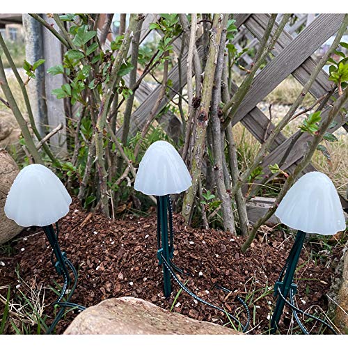 Kagoohan 24 feet 12 LED Outdoor Solar String Mini Mushroom Lights 8 Modes Garden Patio Yard Landscape Party Lawn Pathway Wedding Home Christmas Holidays (Multi-Colored)