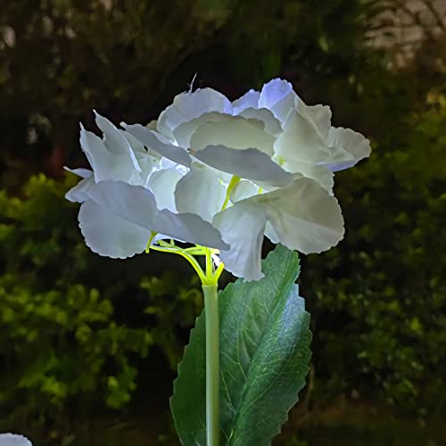 Solar Lights Outdoor Decorative 2 Pack Waterproof Hydrangea Silk Flowers Solar Powered Garden Stake Lights Solar Lights Outdoor Ground Lights for Patio Garden Yard Lawn Pathway (Blue and White)