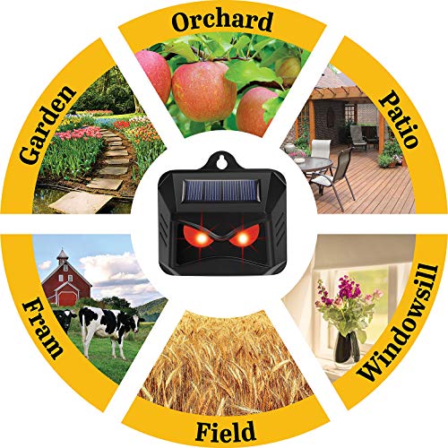 Solar Predator Control Light 4-Pack - Fox Deterrents for Gardens - Animal Repellent - Deer Repellent Devices - Cat Repellent - Fox Repellent - Cat Deterrent - Cat Scarer - Motion Sensor Deterrent