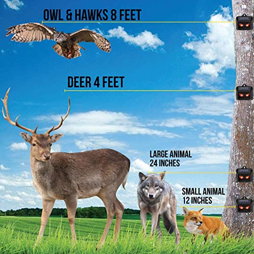Solar Predator Control Light 4-Pack - Fox Deterrents for Gardens - Animal Repellent - Deer Repellent Devices - Cat Repellent - Fox Repellent - Cat Deterrent - Cat Scarer - Motion Sensor Deterrent