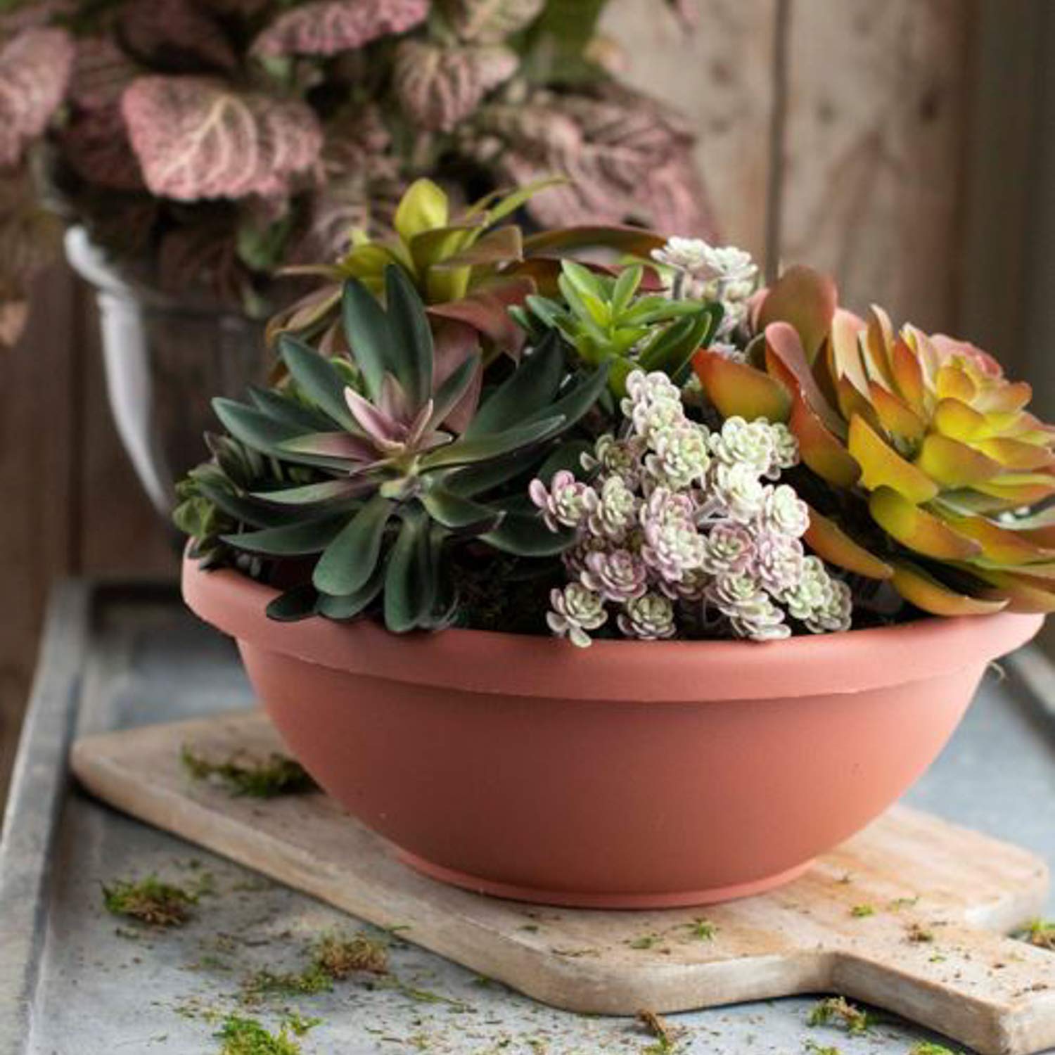 Akro-Mils GAB18000E35 Garden Bowl with Removable Drain Plugs, Clay-Color, 18-Inch