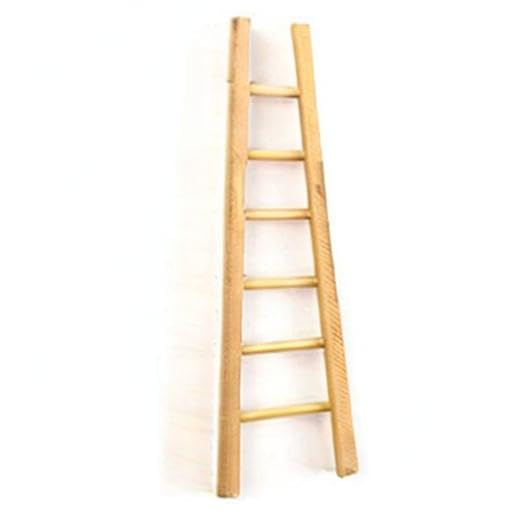 Touch of Nature Mini Garden Wood Ladder 4.75 Inch 1Pc