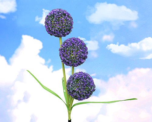 Solar Powered Dandelion Solar LED Lights Outdoor Waterproof LED Lamps for Garden Backyard Lawn Landscape Decoration Illumination (Purple)
