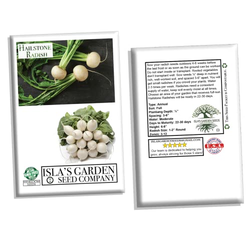 Hailstone Radish Seeds, 250+ Heirloom Seeds, (Isla's Garden Seeds), Non GMO Seeds, Botanical Name: Beta vulgaris