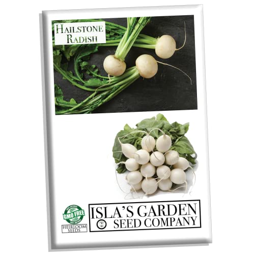 Hailstone Radish Seeds, 250+ Heirloom Seeds, (Isla's Garden Seeds), Non GMO Seeds, Botanical Name: Beta vulgaris