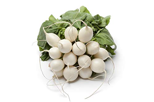 Hailstone Radish Seeds, 250+ Heirloom Seeds, (Isla's Garden Seeds), Non GMO Seeds, Botanical Name: Beta vulgaris
