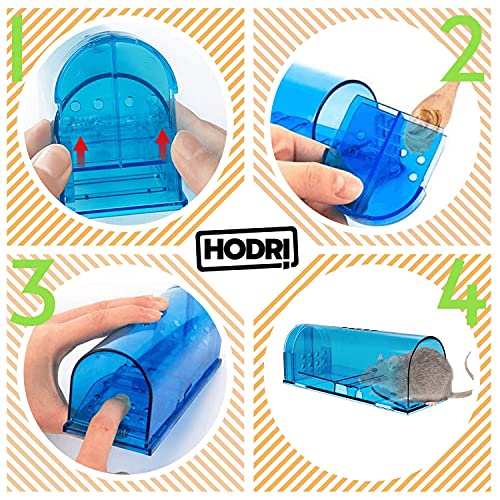 Humane Smart No Kill Mouse Trap, Cruelty Free Live Catch and Release, Easy to Set for Small Rodents Such as Mouse Mice Vole Mole Chipmunk, Reusable for Kitchen Garden Storage Garage (Blue - (2 pcs))