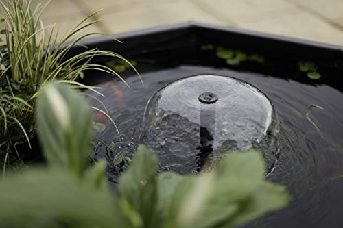Pennington Aquagarden, Complete Raised Window Pond Kit - Octagon, Water Feature Pool, Includes Inpond 5 in 1 300 Pond & Water Pump with UV Clarifier, 106 Gallon Decking Pond, Three Fountain Displays,