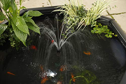 Pennington Aquagarden, Complete Raised Window Pond Kit - Octagon, Water Feature Pool, Includes Inpond 5 in 1 300 Pond & Water Pump with UV Clarifier, 106 Gallon Decking Pond, Three Fountain Displays,