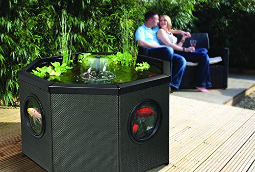 Pennington Aquagarden, Complete Raised Window Pond Kit - Octagon, Water Feature Pool, Includes Inpond 5 in 1 300 Pond & Water Pump with UV Clarifier, 106 Gallon Decking Pond, Three Fountain Displays,