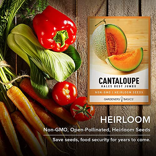 Cantaloupe Seeds for Planting - Hales Best Jumbo Heirloom, Non-GMO Vegetable Variety- 1 Gram Approx 45 Seeds Great for Summer Melon Gardens by Gardeners Basics