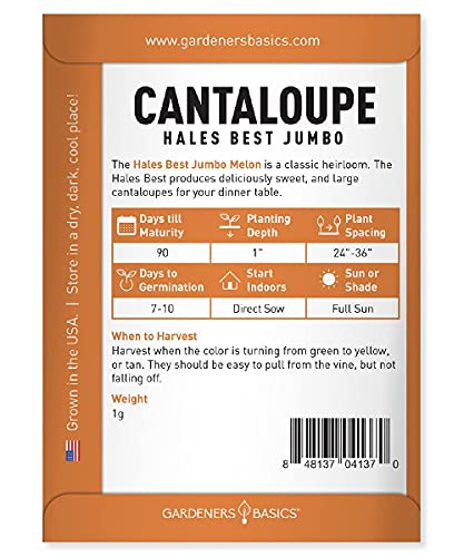 Cantaloupe Seeds for Planting - Hales Best Jumbo Heirloom, Non-GMO Vegetable Variety- 1 Gram Approx 45 Seeds Great for Summer Melon Gardens by Gardeners Basics