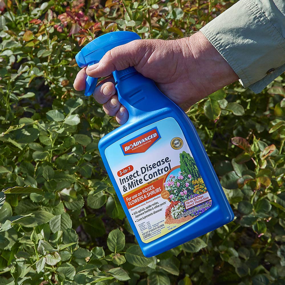 BioAdvanced 3-In-1 Insect, Disease and Mite Control, Ready-to-Use, 24 oz