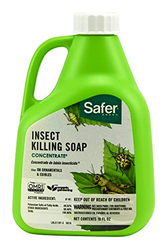 Safer Safer Insect Soap Concentrate, 16 oz OMRI Listed