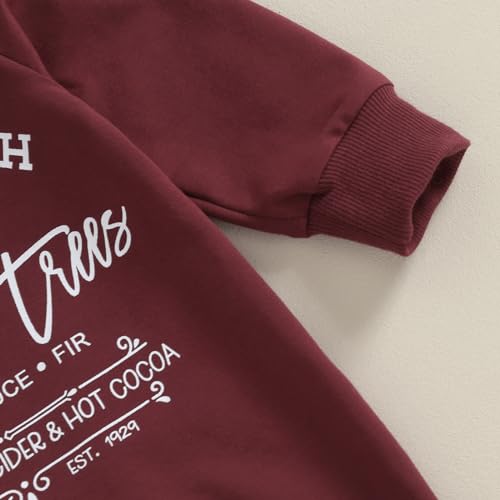 Infant Baby Girls Boys Christmas Outfits One Piece Long Sleeve Crew Neck Letter Sweatshirt Romper Playsuit Clothes (Red, 0-3 Months)