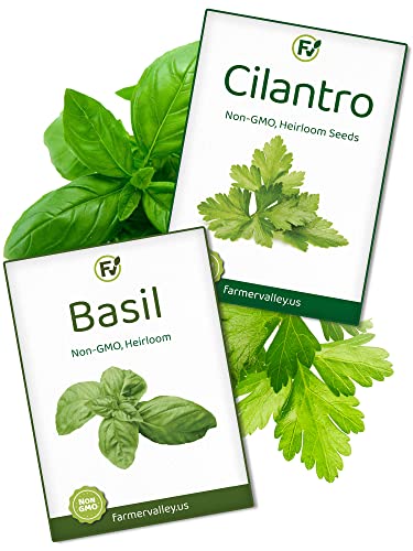 Medicinal and Tea Herb Seeds Variety Pack for Planting Indoors, Outdoors and Hydroponically - USA Grown, Heirloom, Non GMO Herbal Garden Seeds, Including Basil and Cilantro