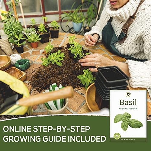 Medicinal and Tea Herb Seeds Variety Pack for Planting Indoors, Outdoors and Hydroponically - USA Grown, Heirloom, Non GMO Herbal Garden Seeds, Including Basil and Cilantro