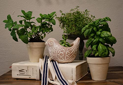 Awake Farms Indoor Herb Garden Seed Starter Kit β Indoor Grow Kit with Bamboo Pots, Soil Discs, Moisture Meter, Plant Markers, Seeds - Herb Seeds Variety Pack Indoor β Ideal for Balcony, Windowsill