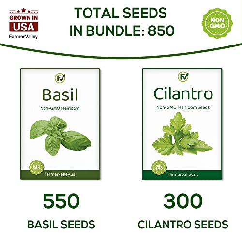 Medicinal and Tea Herb Seeds Variety Pack for Planting Indoors, Outdoors and Hydroponically - USA Grown, Heirloom, Non GMO Herbal Garden Seeds, Including Basil and Cilantro