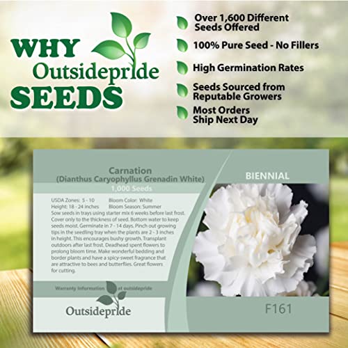 Outsidepride Dianthus Caryophyllus Carnation White Garden Cut Flower Seeds - 2000 Seeds