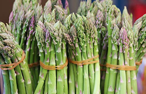 Seeds Asparagus White Giant Vegetable Garden Heirloom for Planting Non GMO