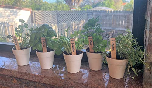 Awake Farms Indoor Herb Garden Seed Starter Kit β Indoor Grow Kit with Bamboo Pots, Soil Discs, Moisture Meter, Plant Markers, Seeds - Herb Seeds Variety Pack Indoor β Ideal for Balcony, Windowsill