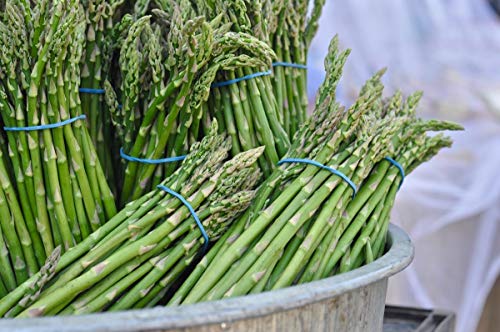 Seeds Asparagus White Giant Vegetable Garden Heirloom for Planting Non GMO